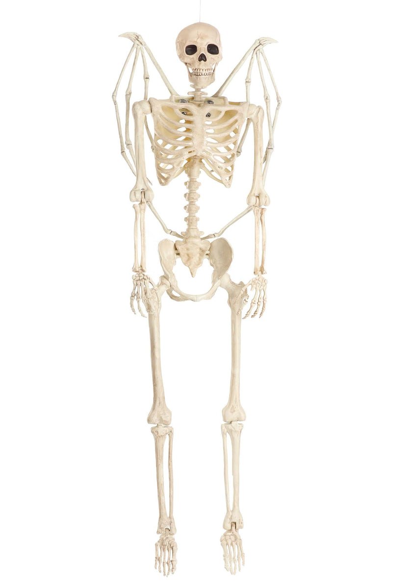 5FT Poseable Winged Skeleton Prop Decoration | Poseable Skeletons ...