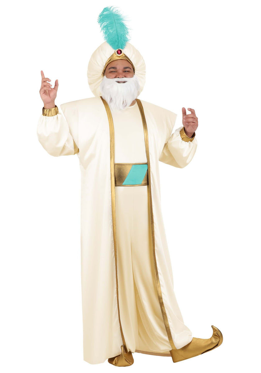 Men's Plus Size Disney Aladdin Sultan Costume | Disney Costumes – Kids ...