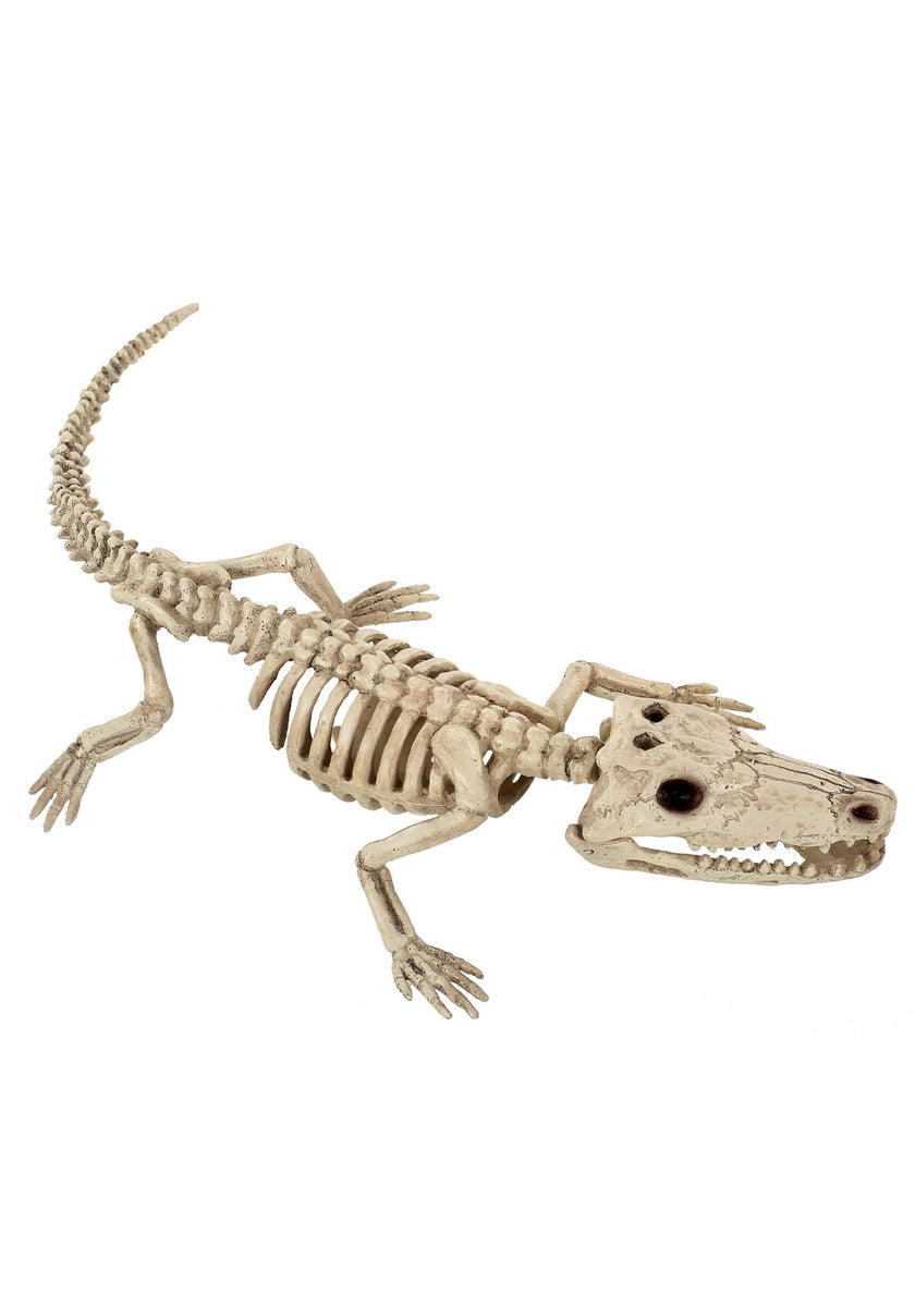 Baby Alligator Skeleton Prop – Kids Halloween Costumes