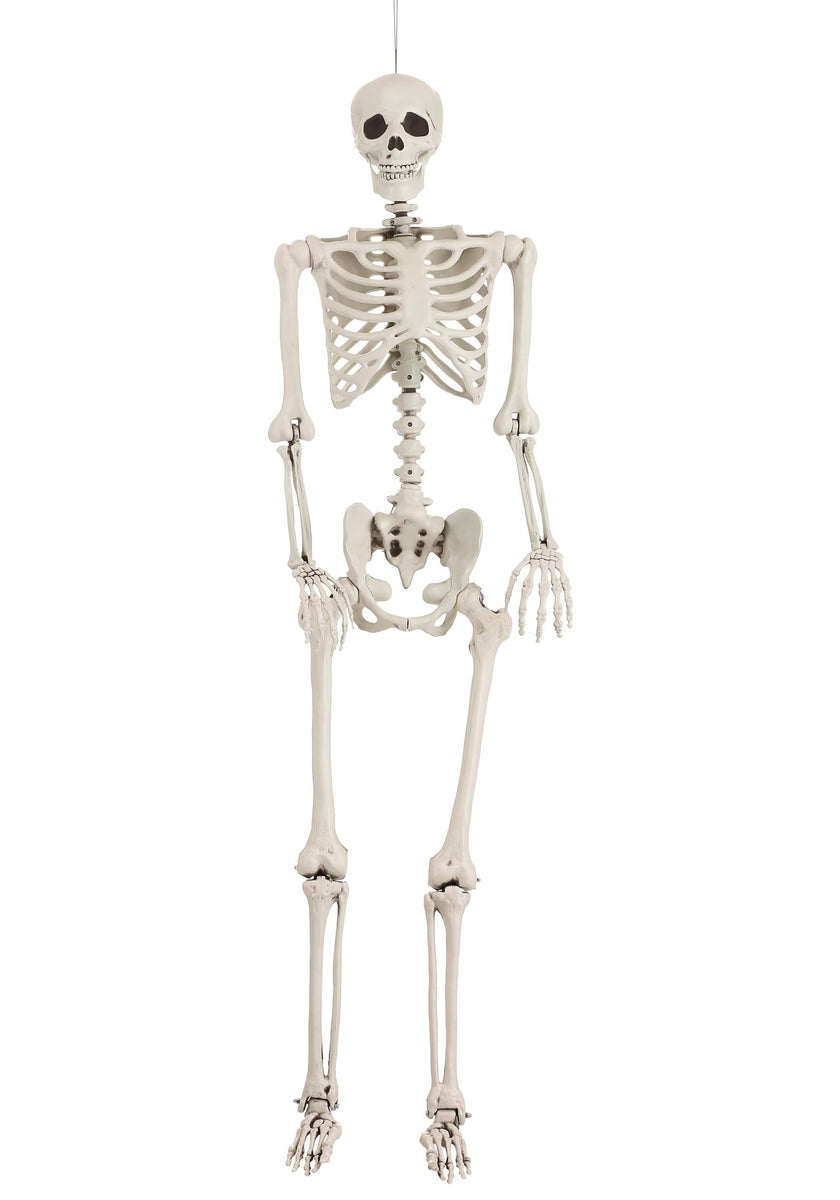 Posable 5 Ft Skeleton Prop – Kids Halloween Costumes