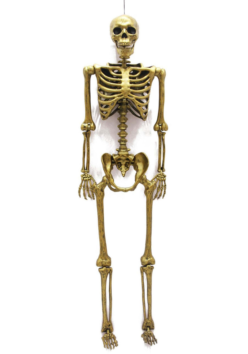 Gold Life Size Posable 60 Inch Skeleton Prop – Kids Halloween Costumes