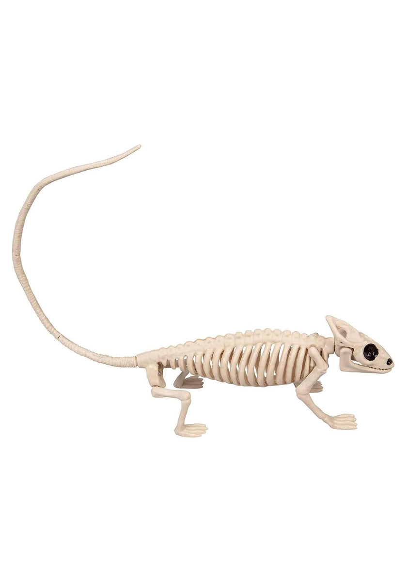 8-Inch Lizard Skeleton – Kids Halloween Costumes