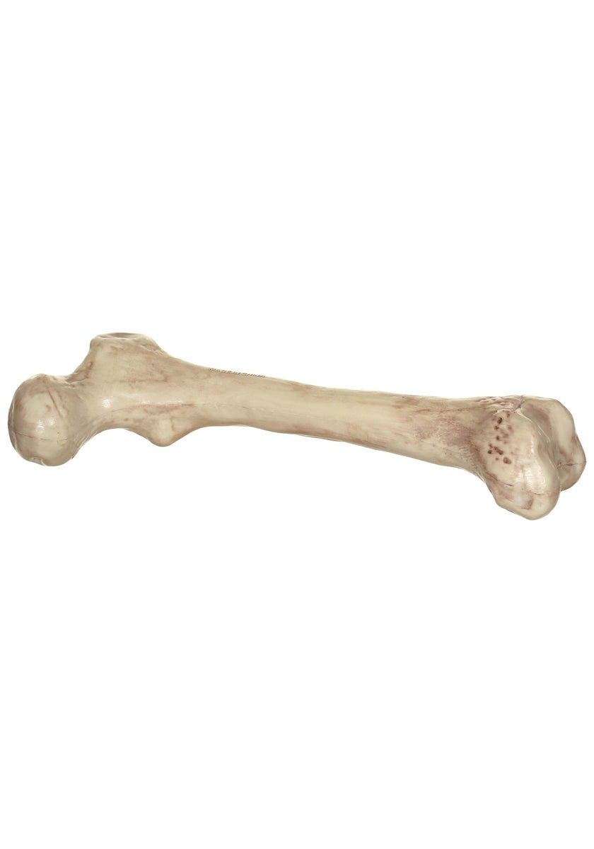 9-inch Big Bone – Kids Halloween Costumes