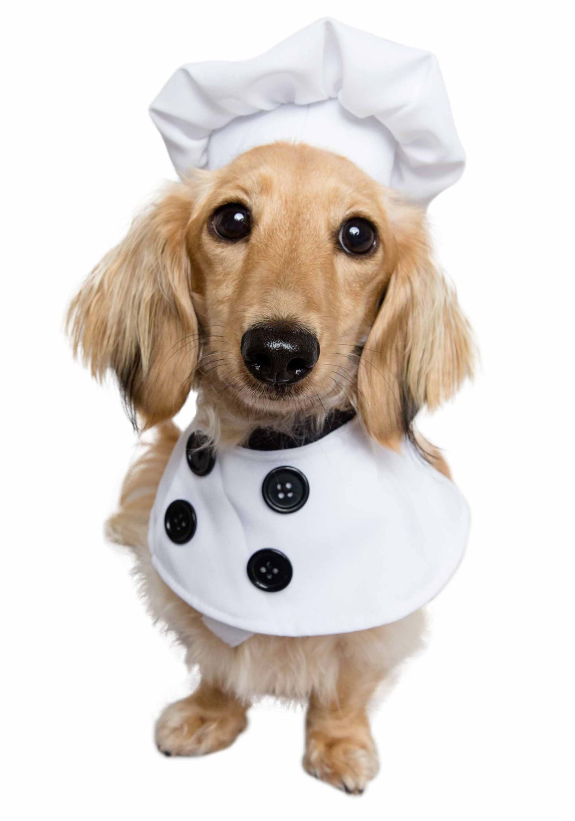 Pet Chef Costume – Kids Halloween Costumes
